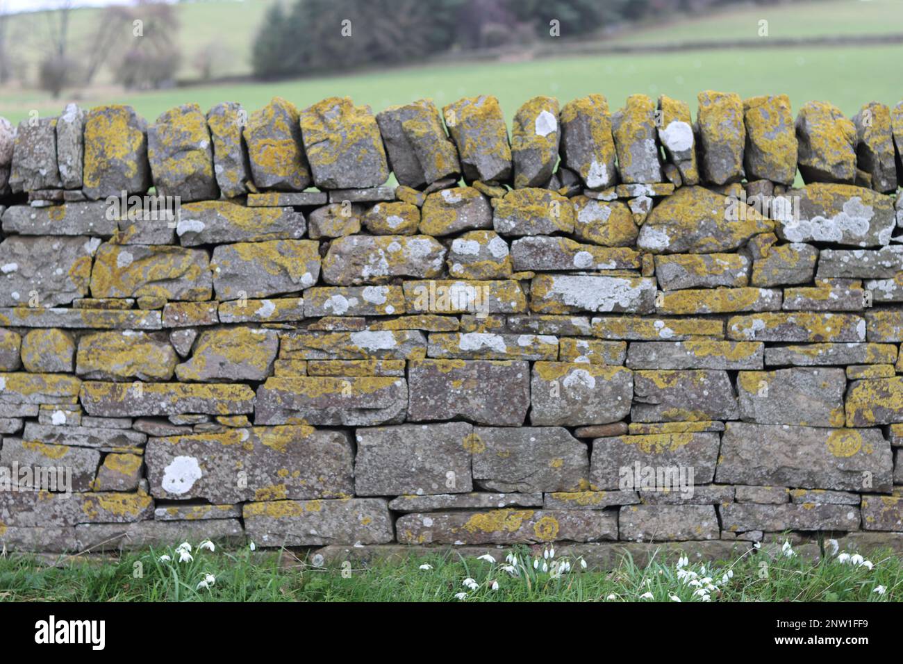 Field boundary wall hi-res stock photography and images - Alamy