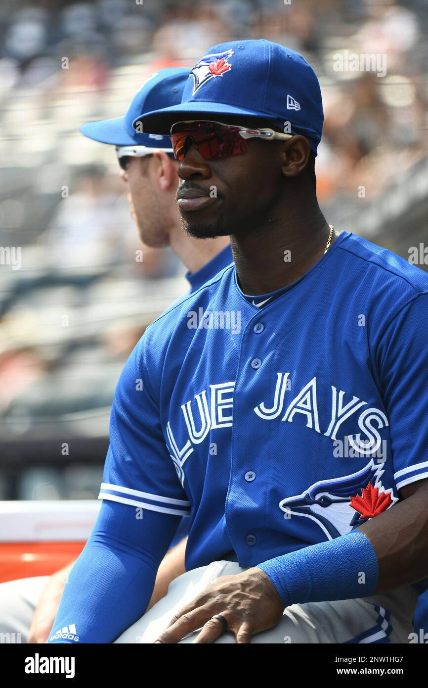 Toronto Blue Jays outfielder Jonathan Davis (67) during game against ...