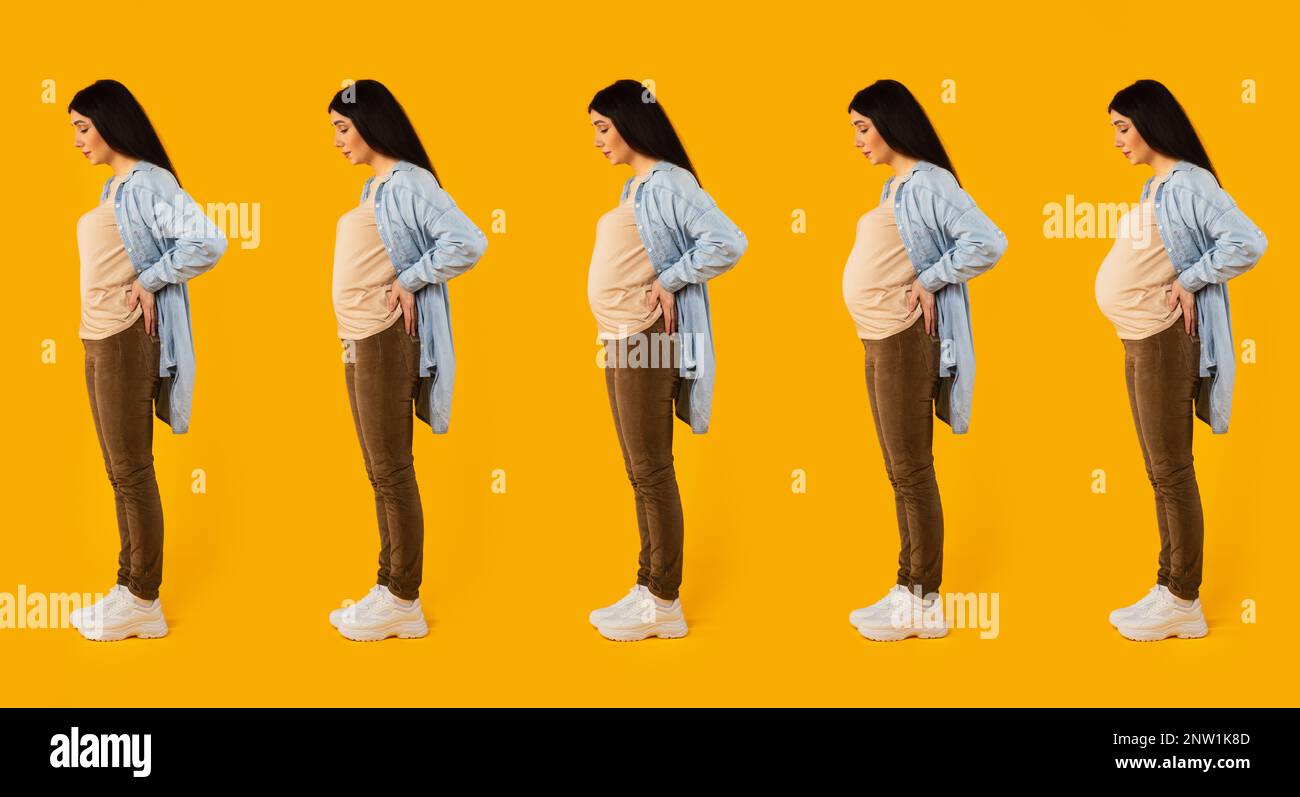 Full length shot of woman with different stages of pregnancy standing ...