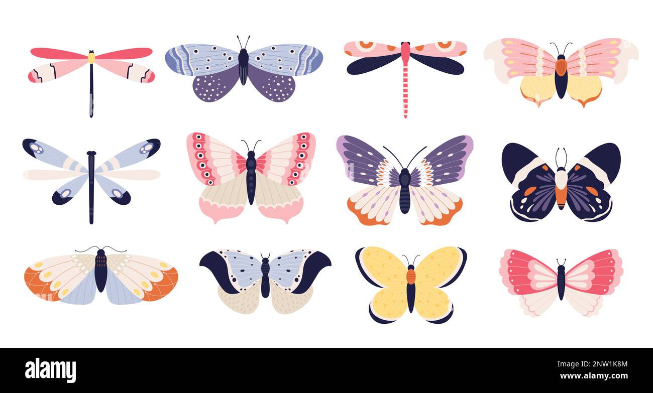 Cute butterflies collection, insects with colored pattern wings Stock ...