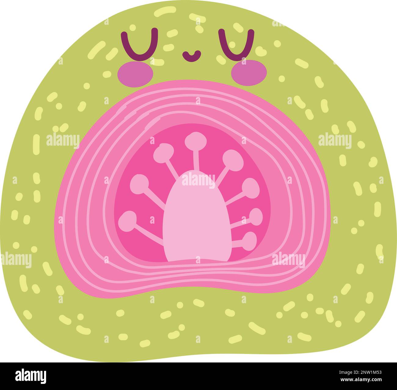 matcha cute food icon Stock Vector Image & Art - Alamy