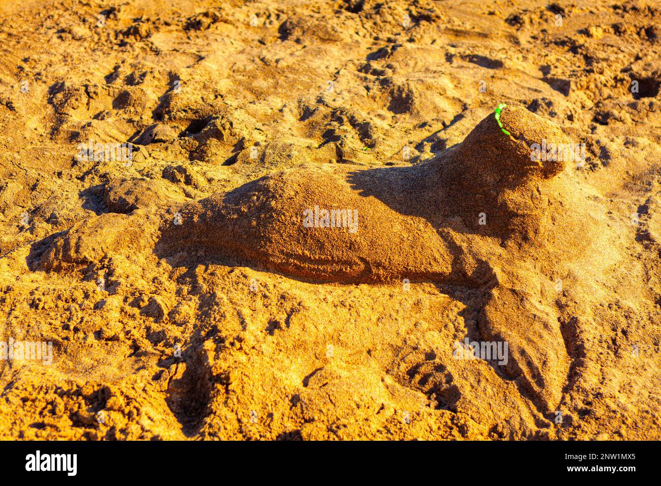 Animal made by sand on the sandy beach . Figure carved in sand Stock ...