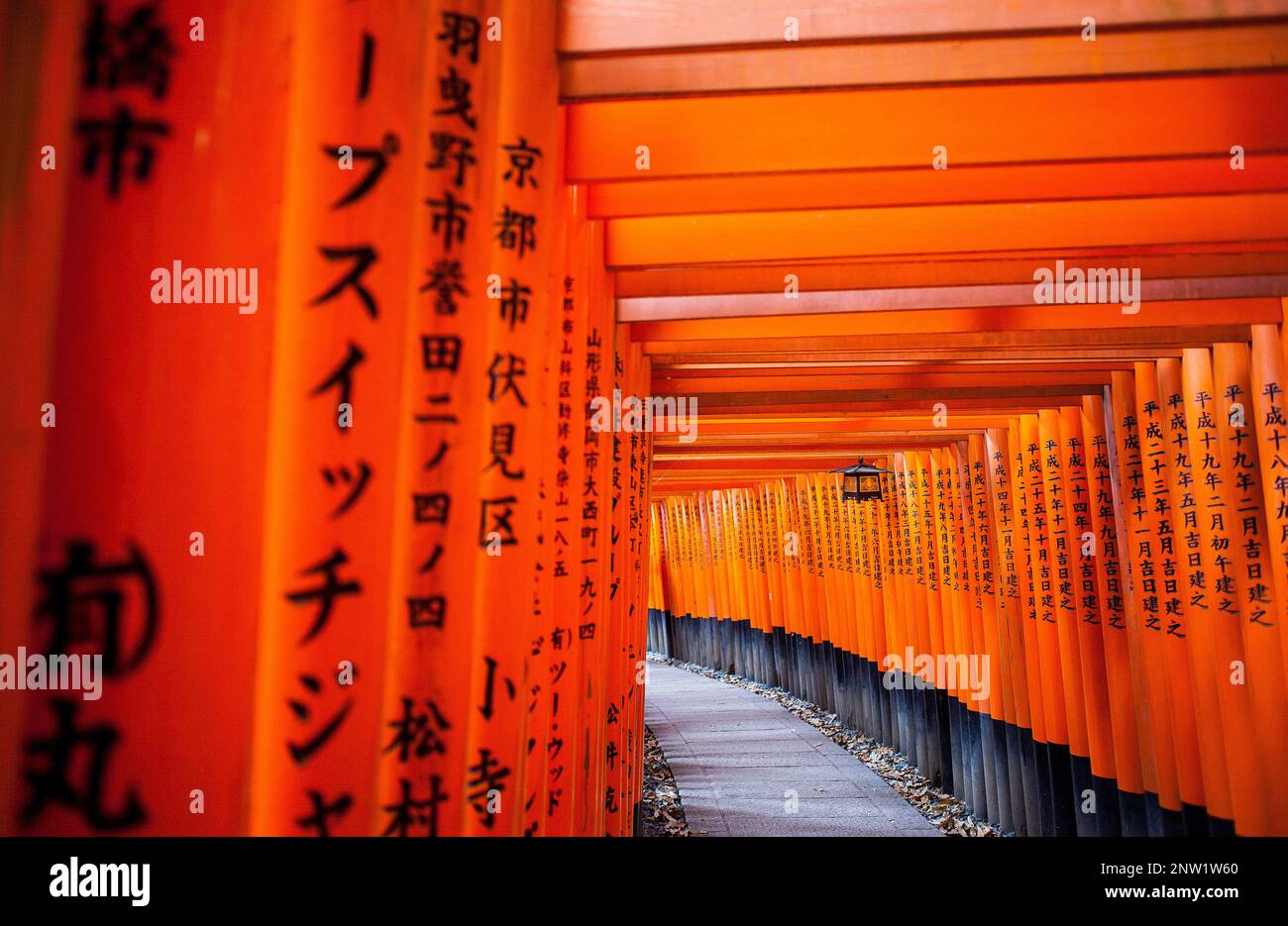 Torii gates at Fushimi Inari-Taisha sanctuary,Kyoto, Japan Stock Photo ...