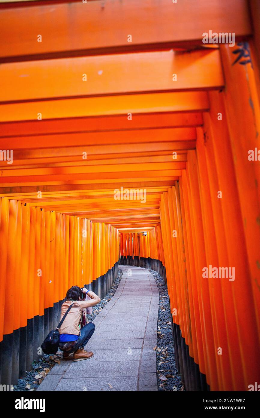 Torii gates at Fushimi Inari-Taisha sanctuary,Kyoto, Japan Stock Photo ...