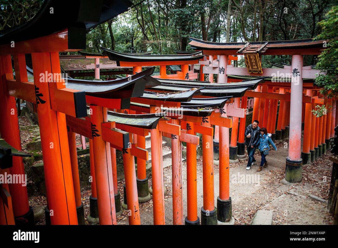 Torii gates at Fushimi Inari-Taisha sanctuary,Kyoto, Japan Stock Photo ...