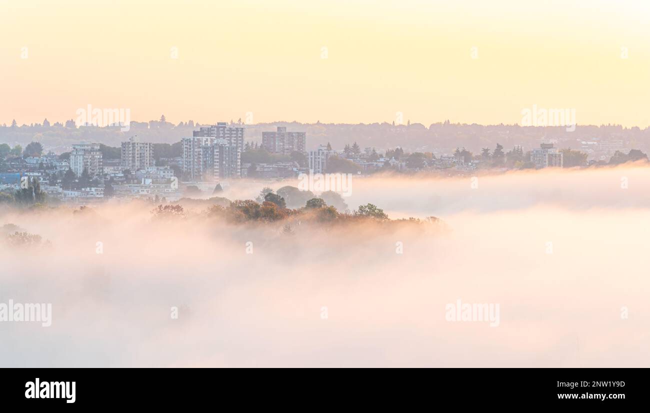 A stunning aerial view of a town peaking through dense fog Stock Photo ...