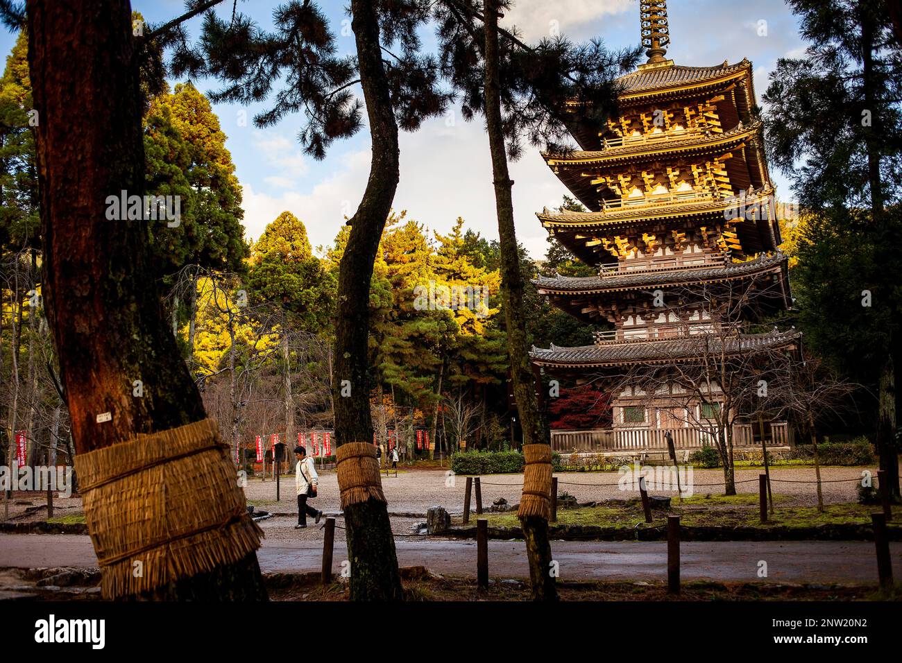 Gojyunoto, Daigo-ji Temple , Kyoto City , Kansai, Japan Stock Photo - Alamy