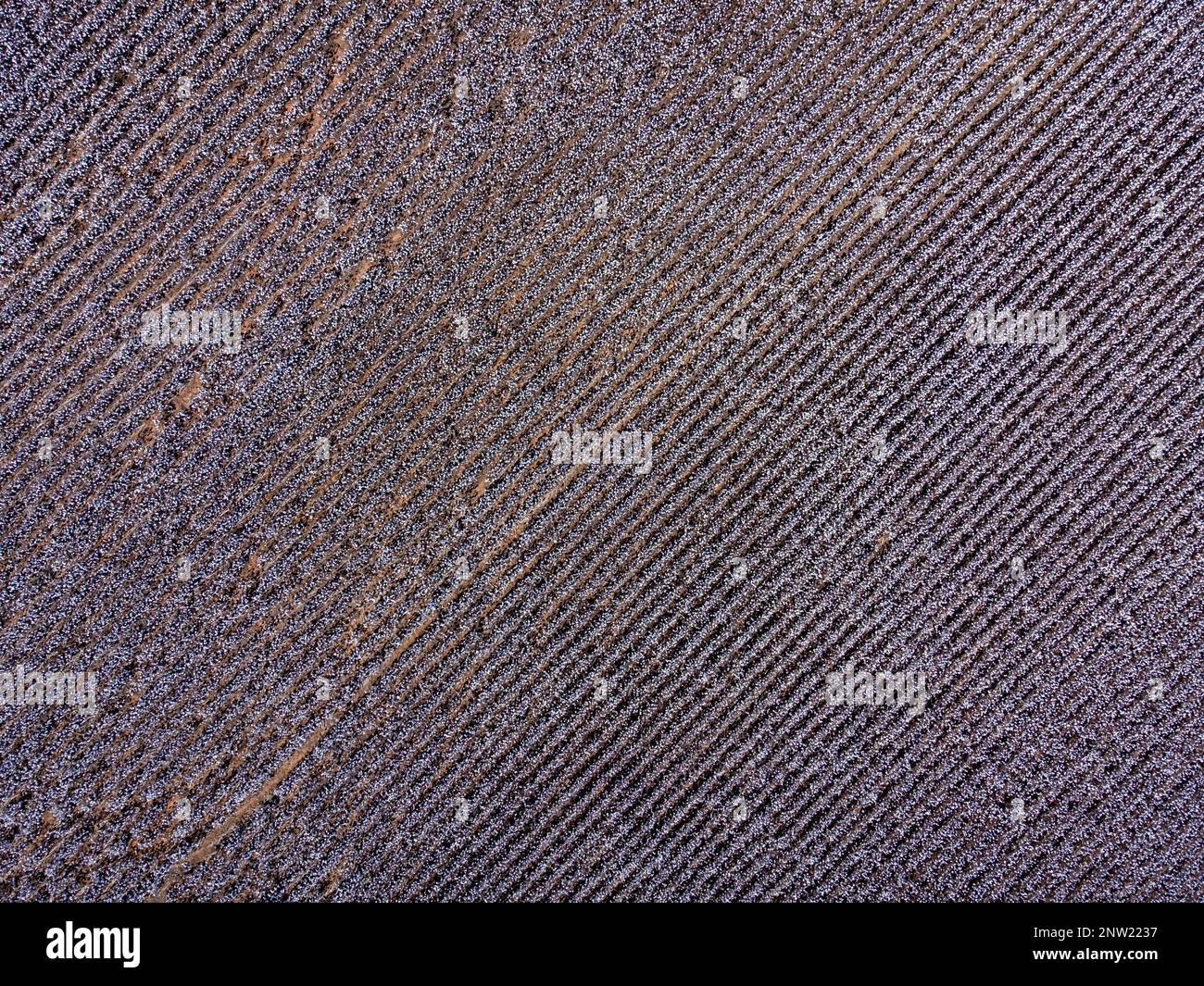Aerial view in 4k from hi-res stock photography and images - Alamy