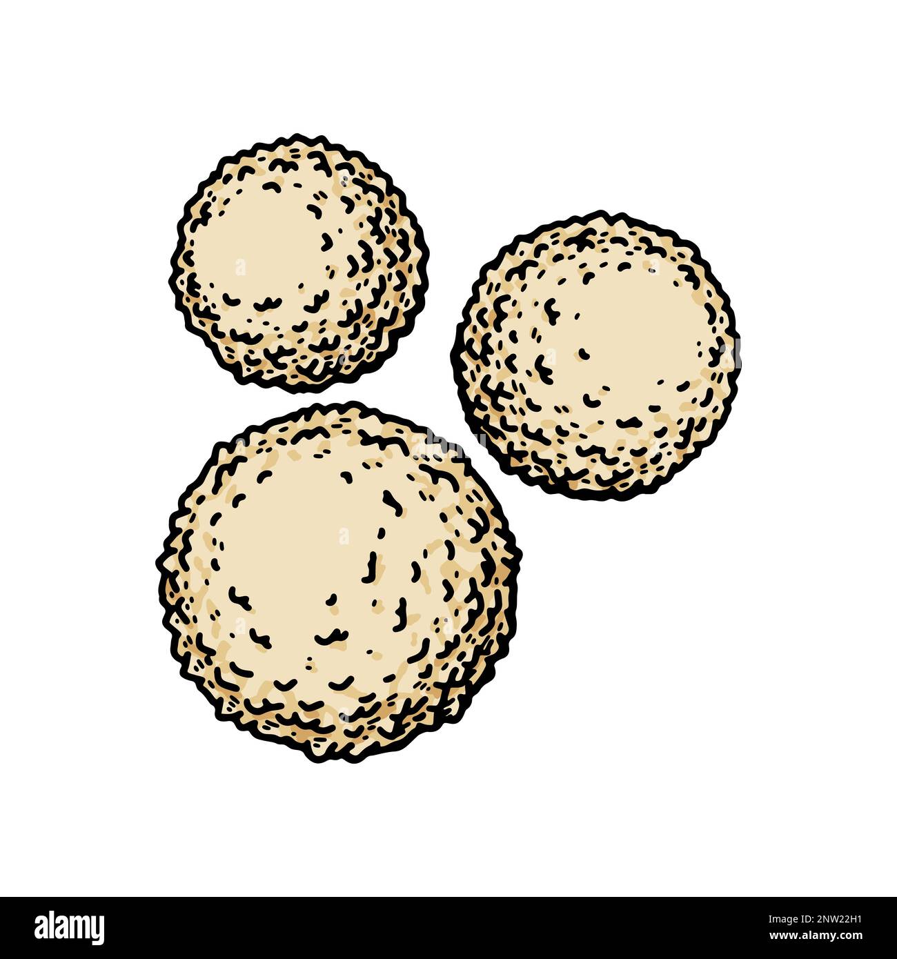 Leukocyte white blood cells isolated on white background. Hand drawn scientific microbiology ...