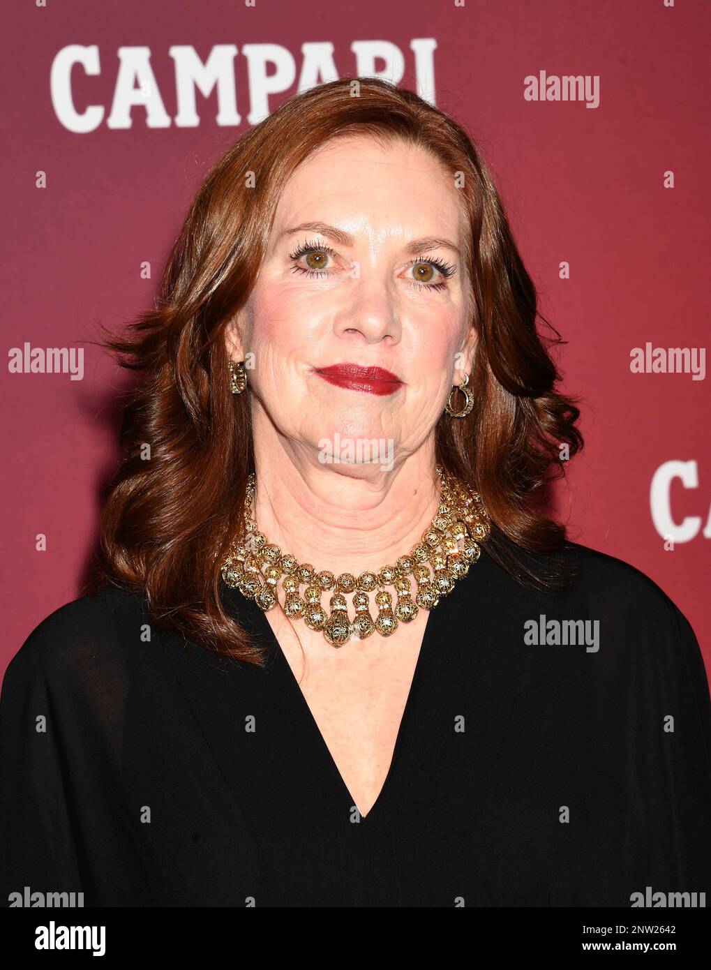 LOS ANGELES, CALIFORNIA - FEBRUARY 27: Deborah L. Scott attends the ...