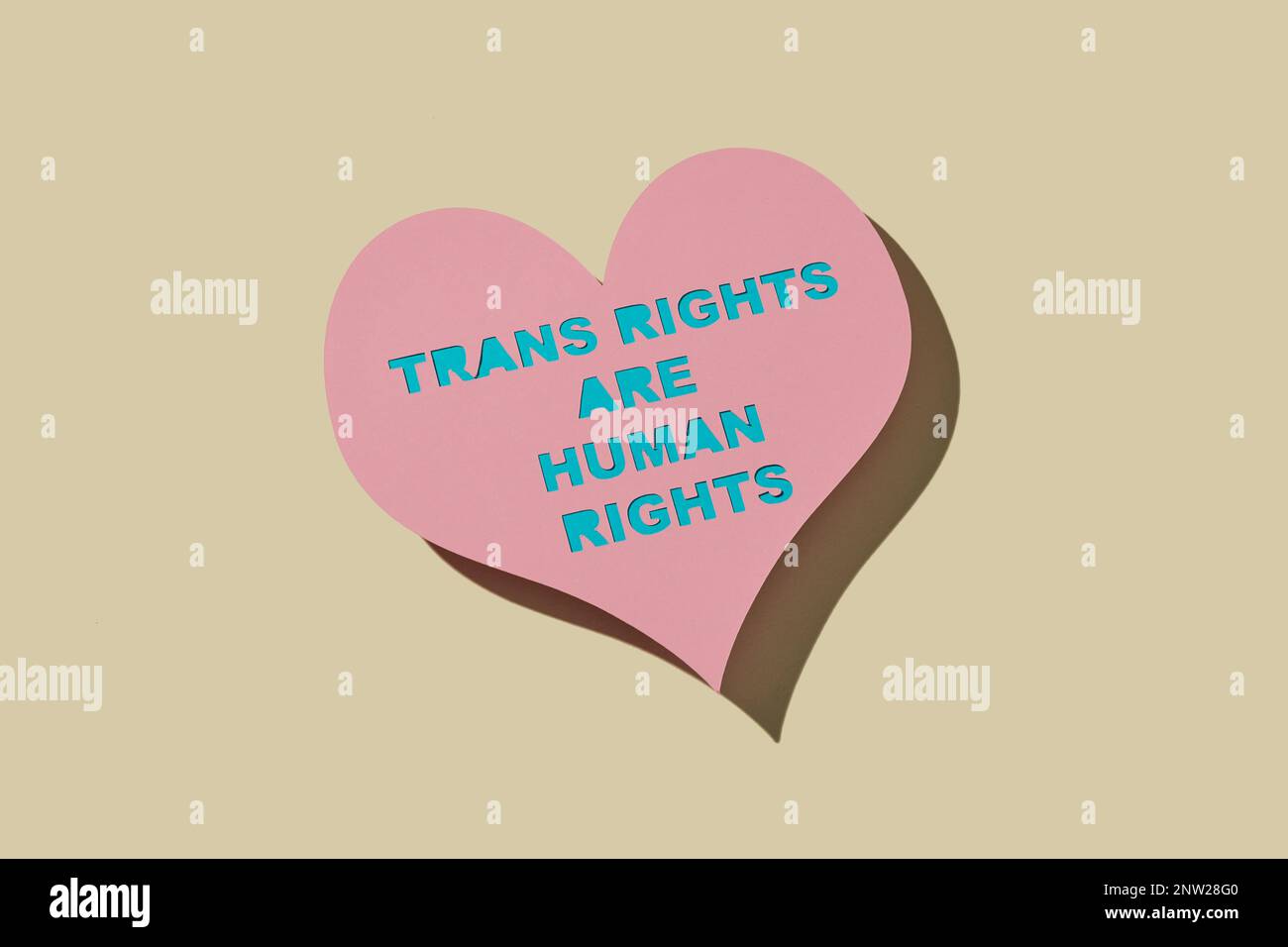 a pink heart-shaped cardboard sign with the text transgender rights are ...