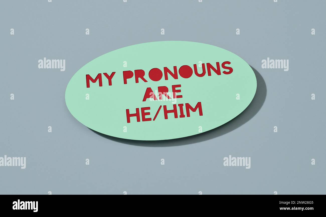 a pale green sign with the text my pronouns are he, him on a pale blue ...