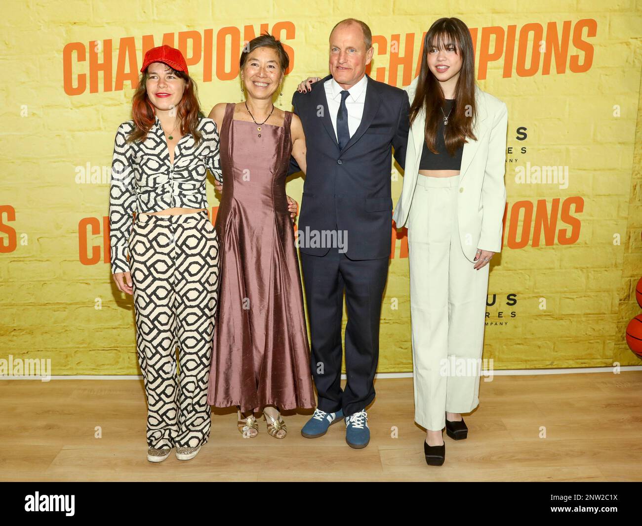 Actor Woody Harrelson attends the premiere of Focus Features ...