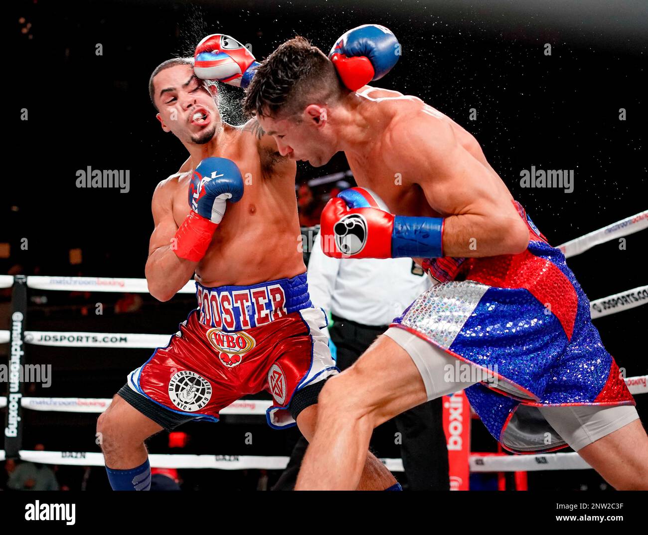 January 18, 2019 - New York, New York, USA - CHRIS ALGIERI (blue, red ...