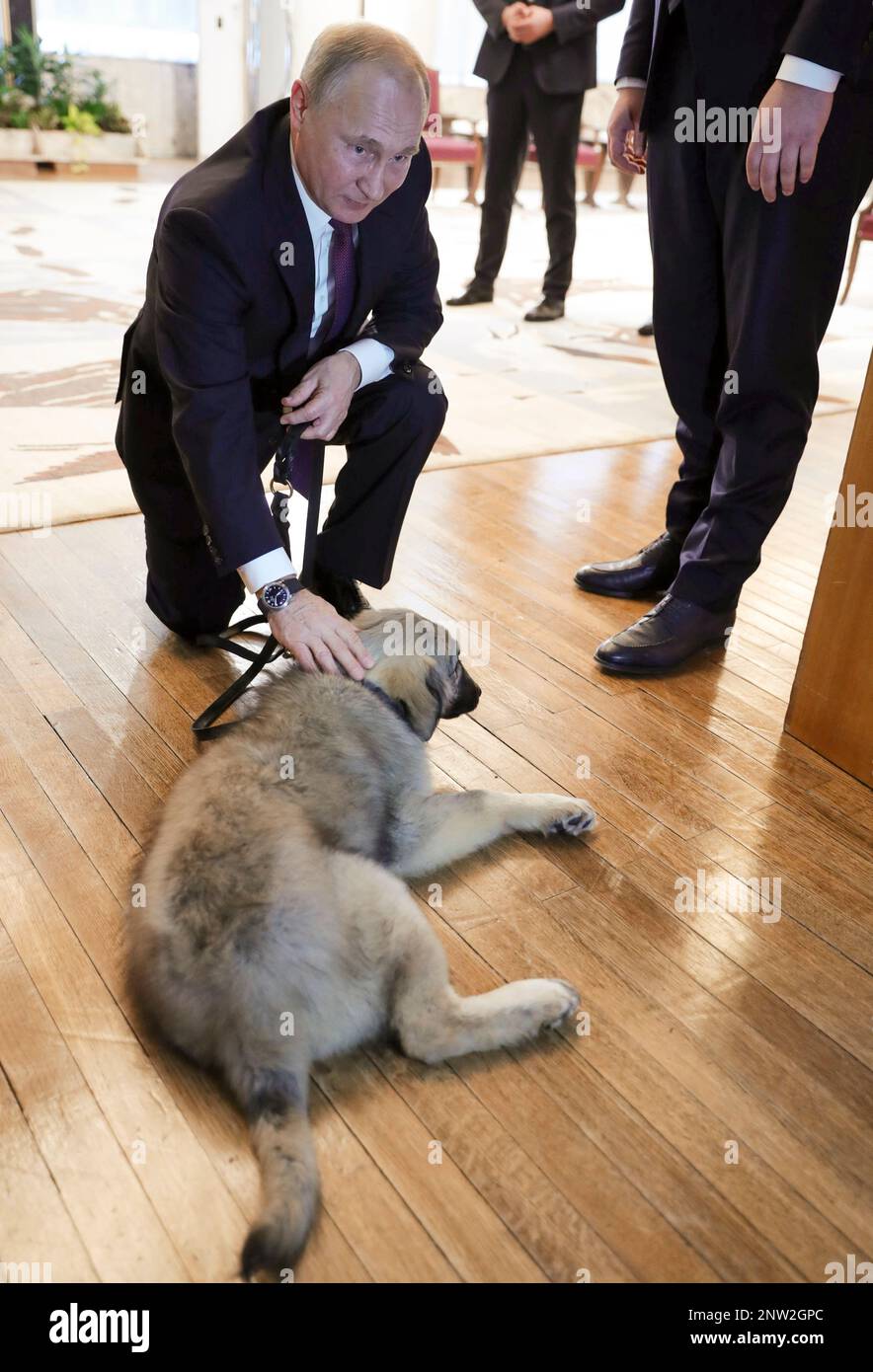 Russian President Vladimir Putin pets a puppy of the Sarplaninac breed ...