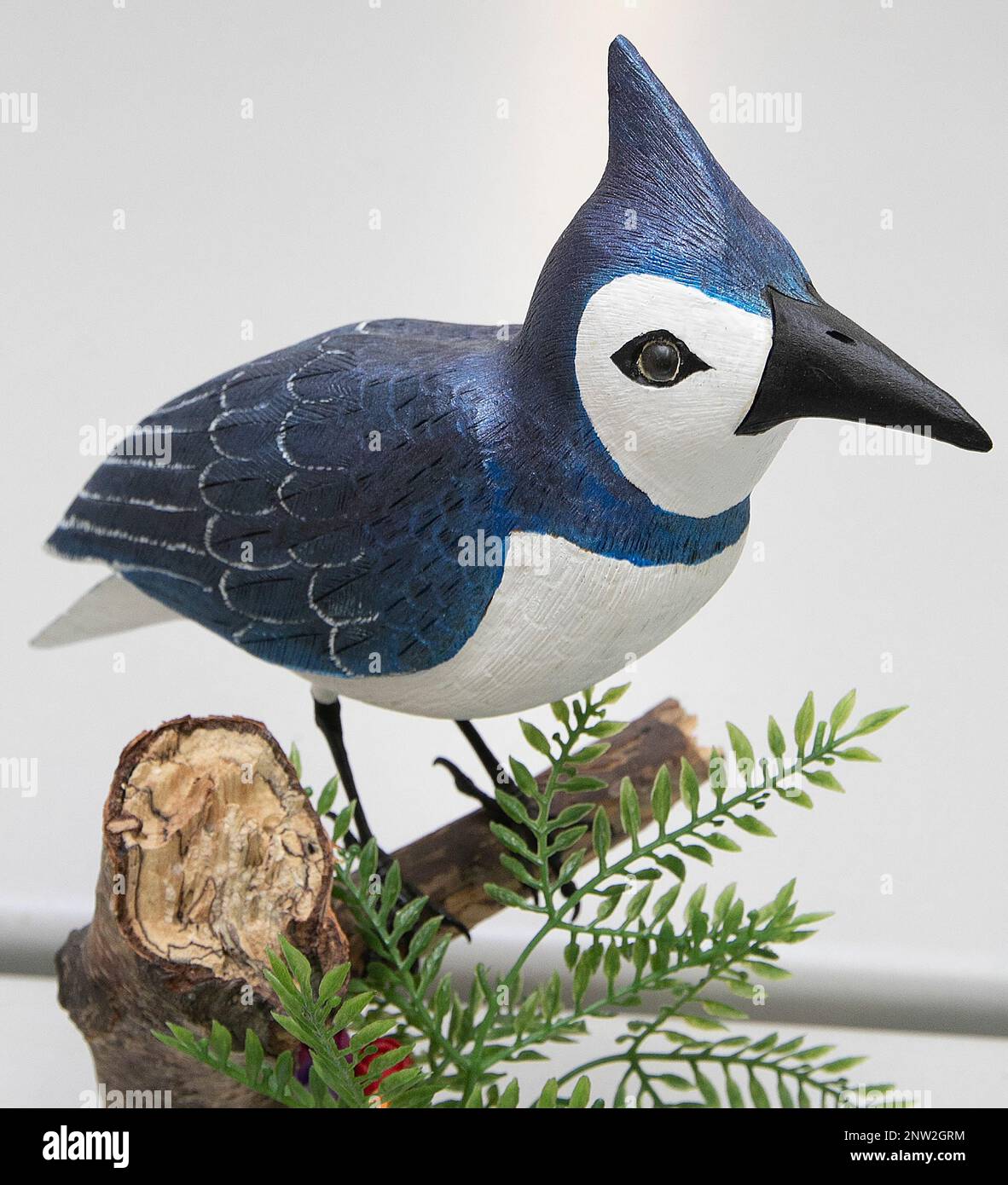 A wood carving of a blue jay featuring Schoepfers Eyes, Tues., Jan. 8 ...
