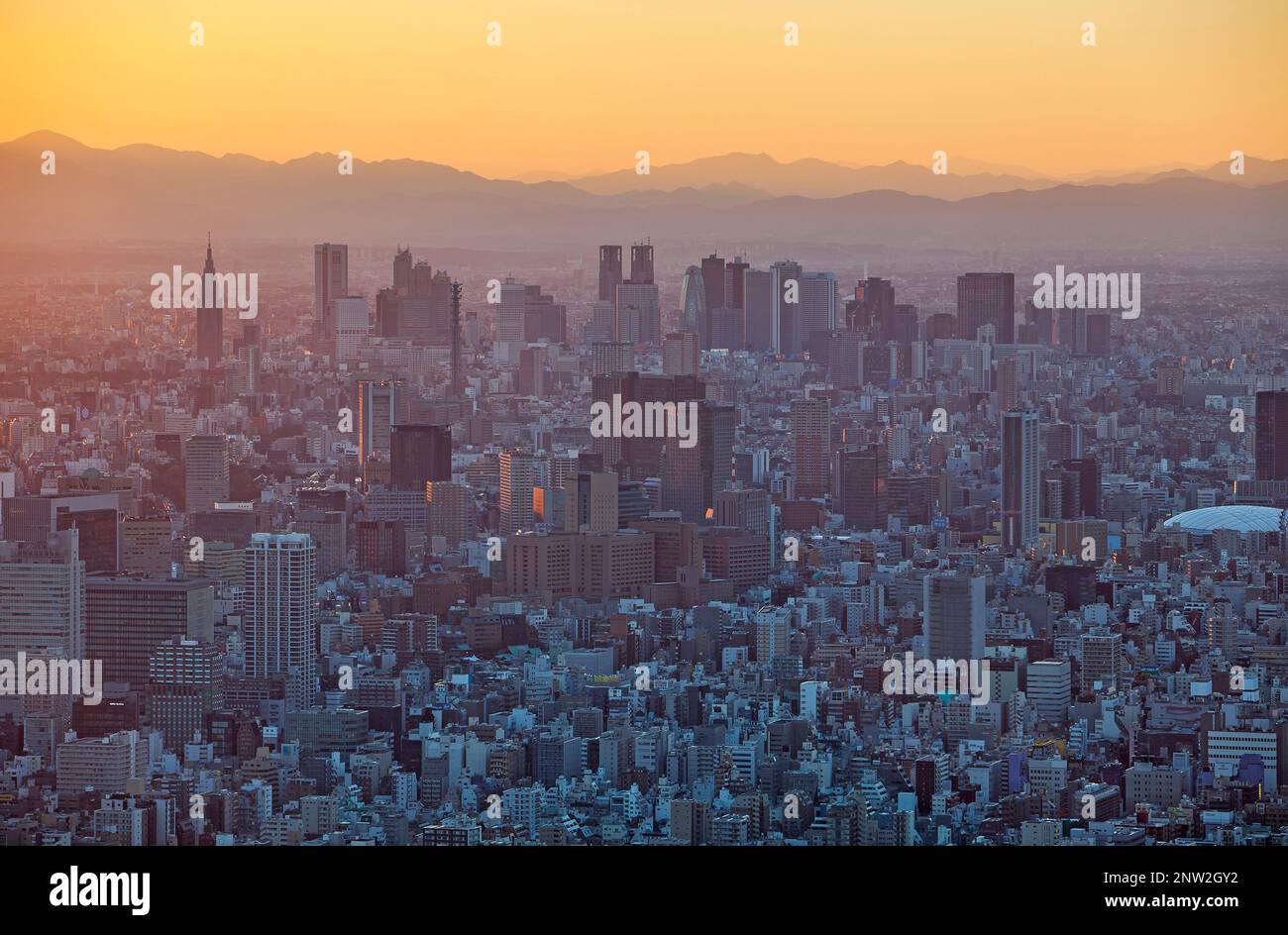 skyline, Tokyo, Japan Stock Photo - Alamy