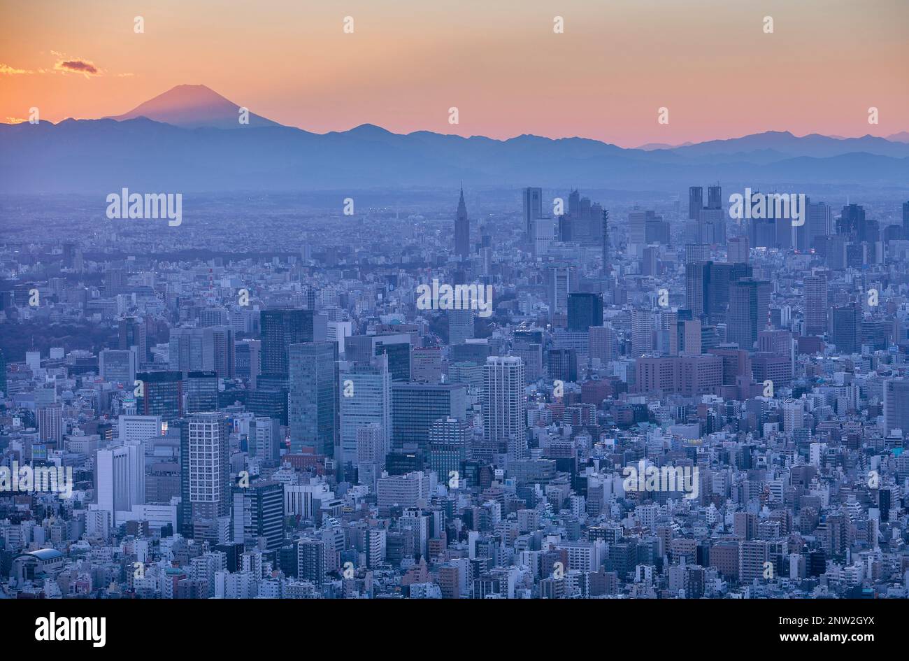 skyline and Mount Fuji, Tokyo, Japan Stock Photo - Alamy