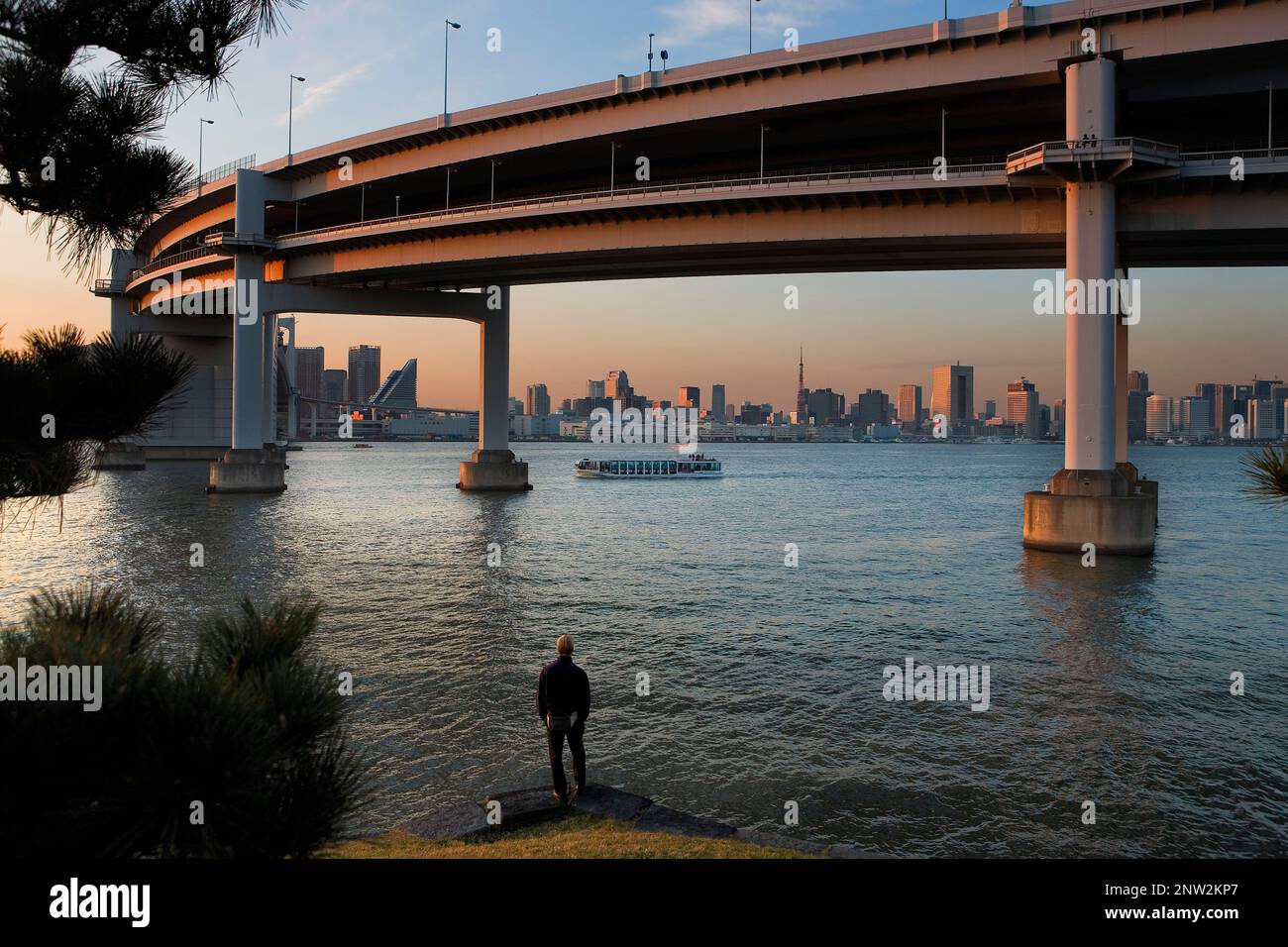 Waterfront of Tokyo, as seen from Daiba Park in Odaiba (artificial ...