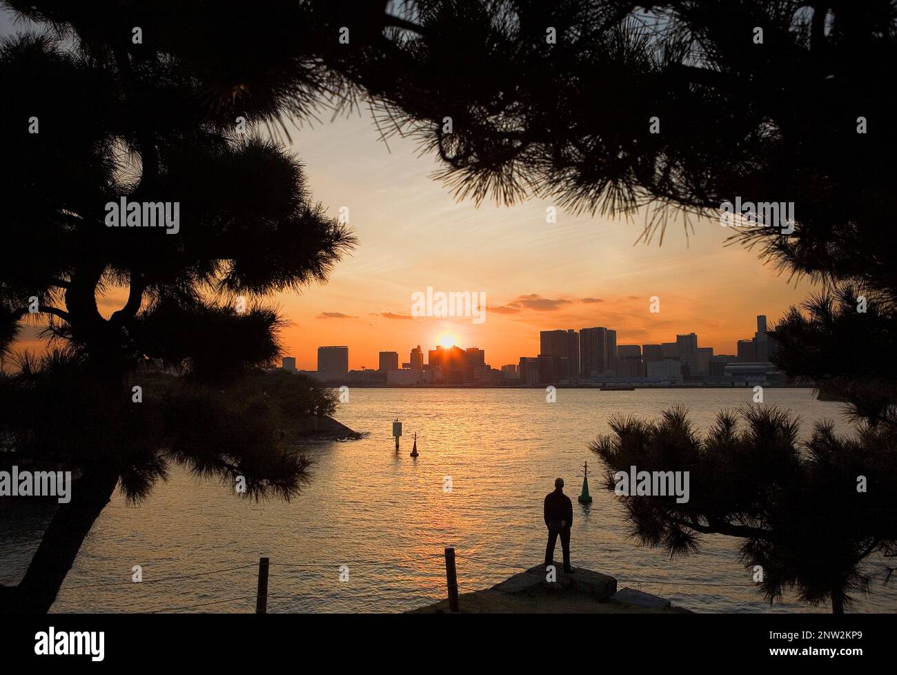 Waterfront of Tokyo, as seen from Daiba Park in Odaiba (artificial ...