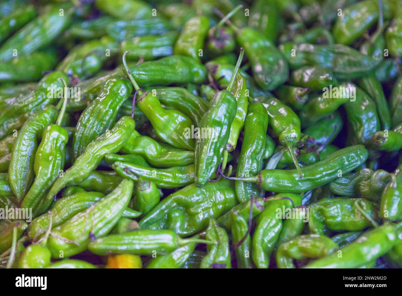 Piments piments hi-res stock photography and images - Alamy