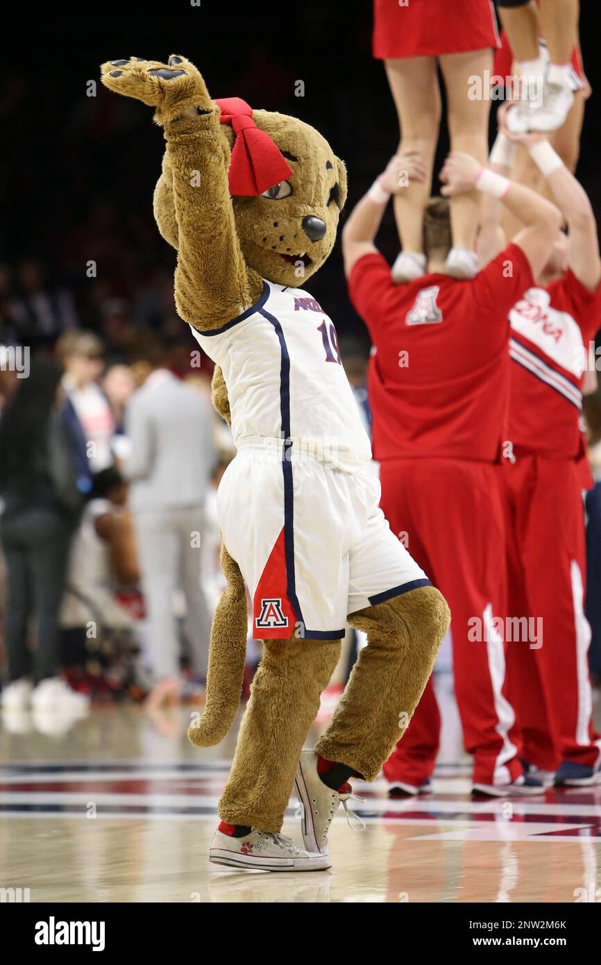 TUCSON, AZ - JANUARY 13: Arizona Wildcats mascot Wilma T. Wildcat waves ...