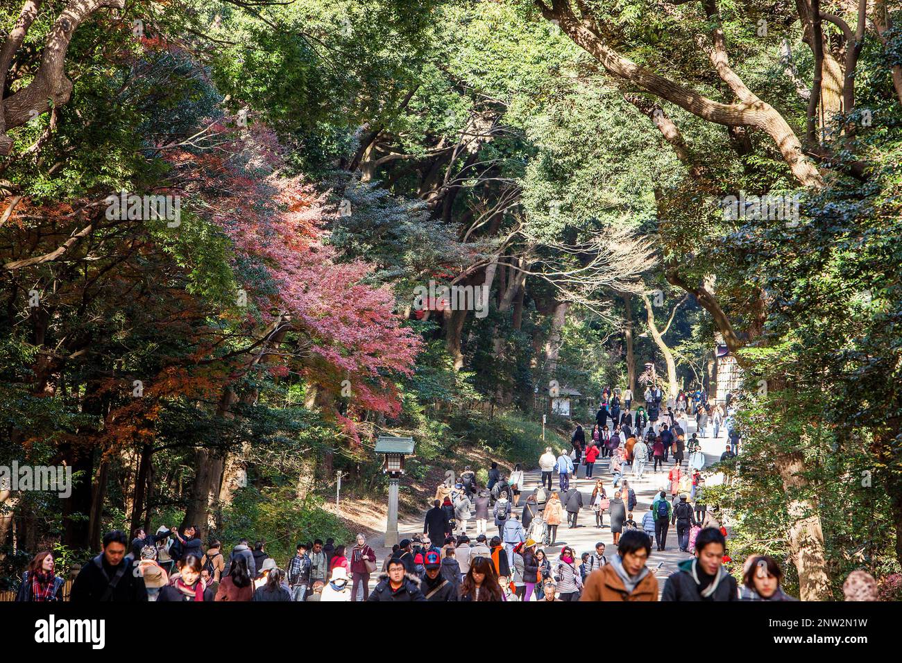Path, in Meiji Jingu Shinto Shrine. Yoyogi Park. Tokyo. Japan Stock ...