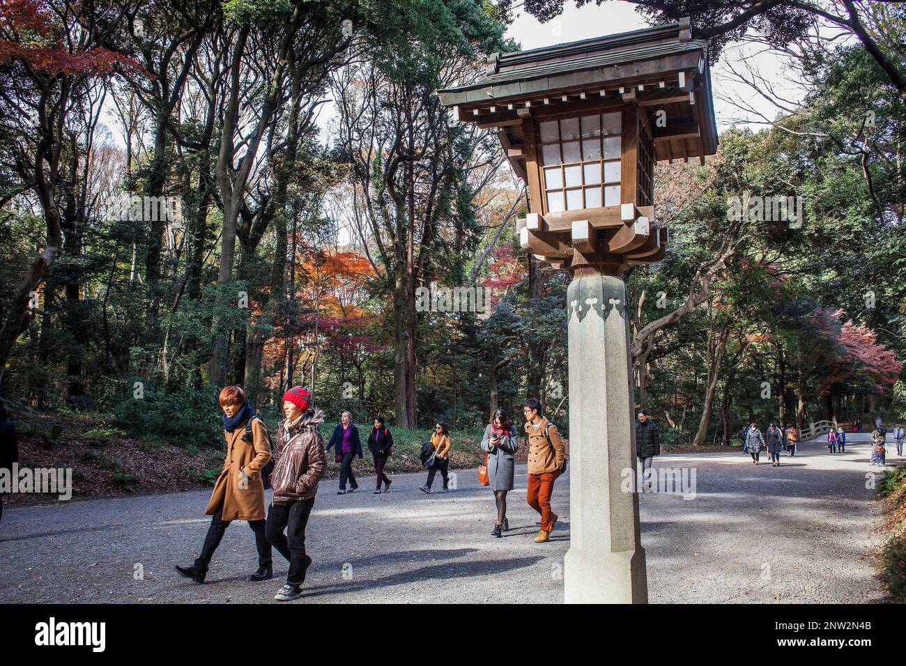 Path, in Meiji Jingu Shinto Shrine. Yoyogi Park. Tokyo. Japan Stock ...