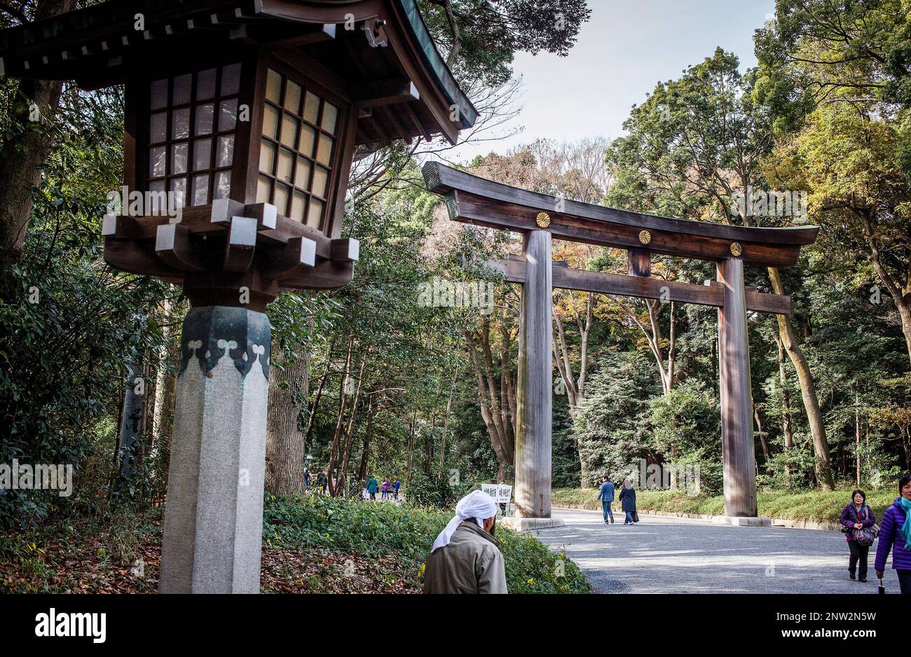 Torii Gate, in Meiji Jingu Shinto Shrine. Yoyogi Park. Tokyo. Japan ...