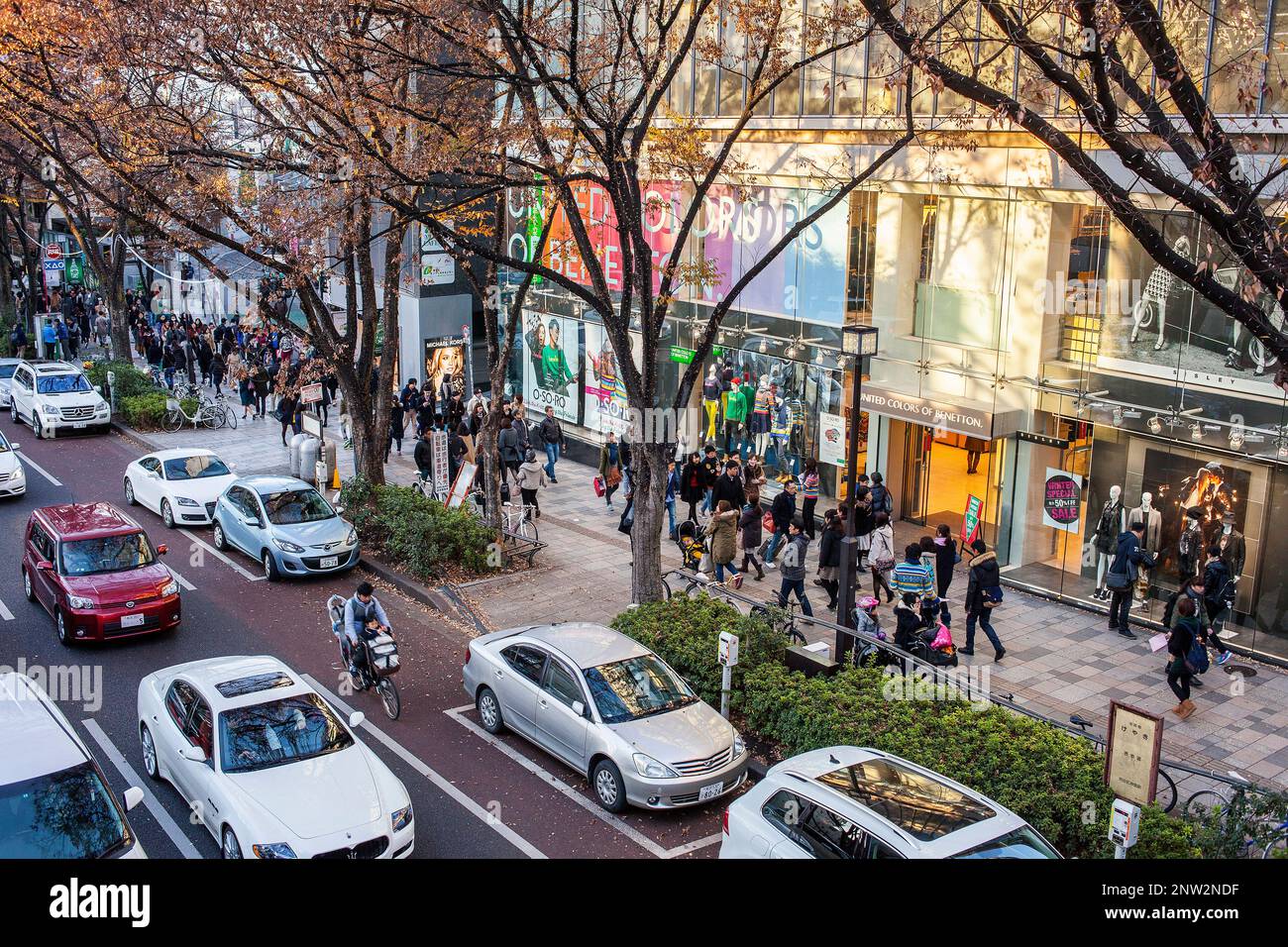 Aoyama avenue hi-res stock photography and images - Alamy