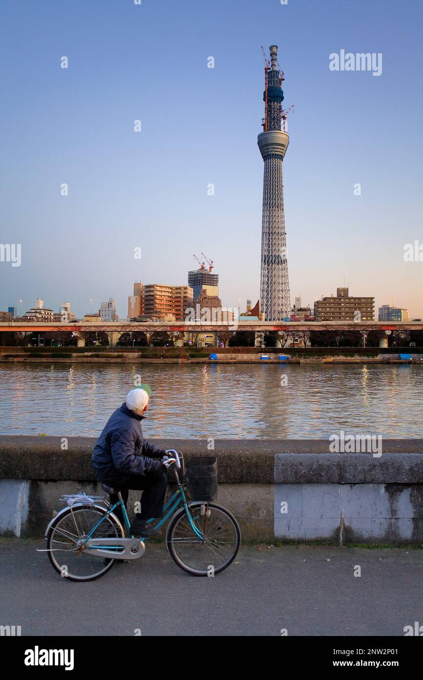 Man looking the Tokyo Sky Tree under construction from Sumida Koen Park ...