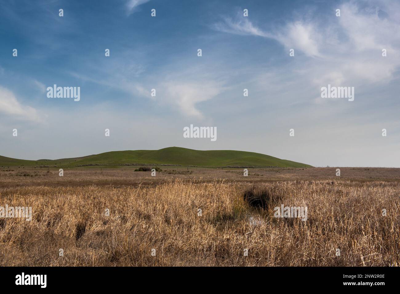Blackish Marsh at Rush Ranch Open space a on a partly cloudy day with ...