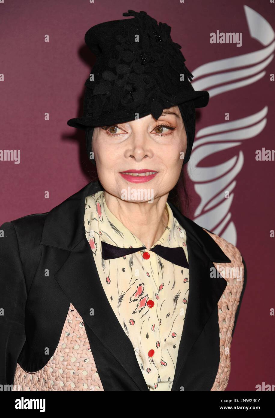 LOS ANGELES, CALIFORNIA - FEBRUARY 27: Toni Basil attends the 25th ...