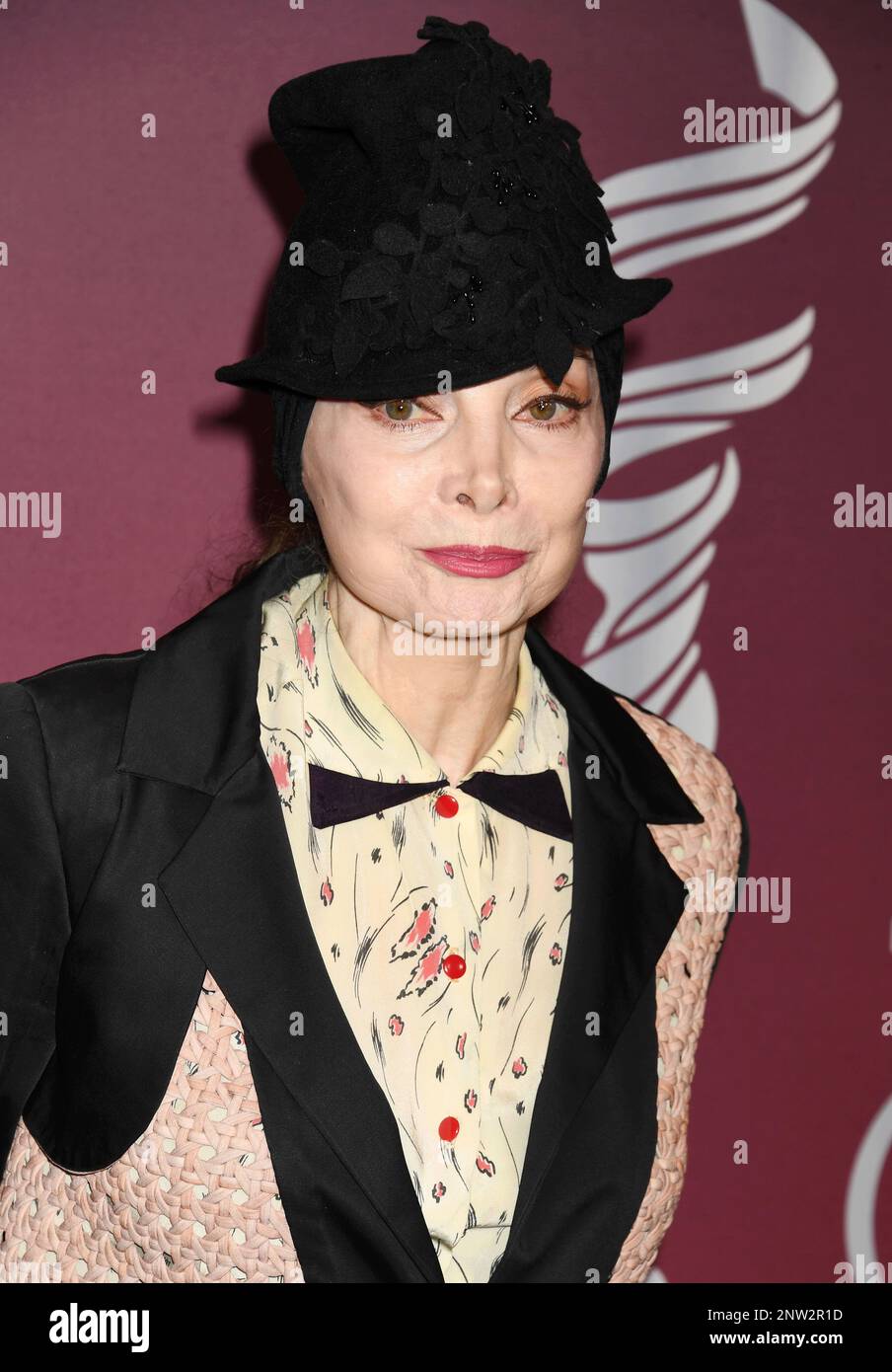 LOS ANGELES, CALIFORNIA - FEBRUARY 27: Toni Basil attends the 25th ...