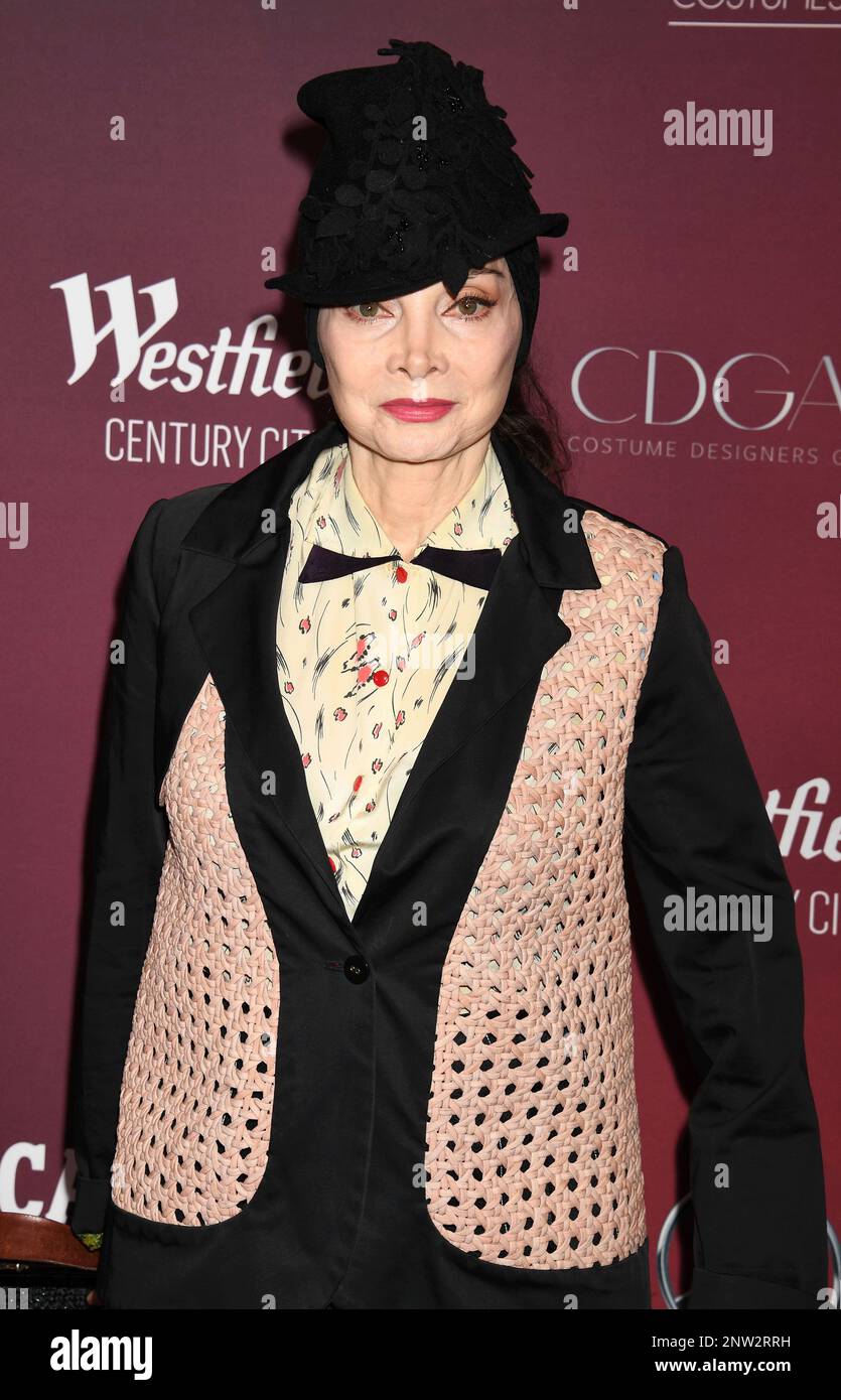 LOS ANGELES, CALIFORNIA - FEBRUARY 27: Toni Basil attends the 25th ...