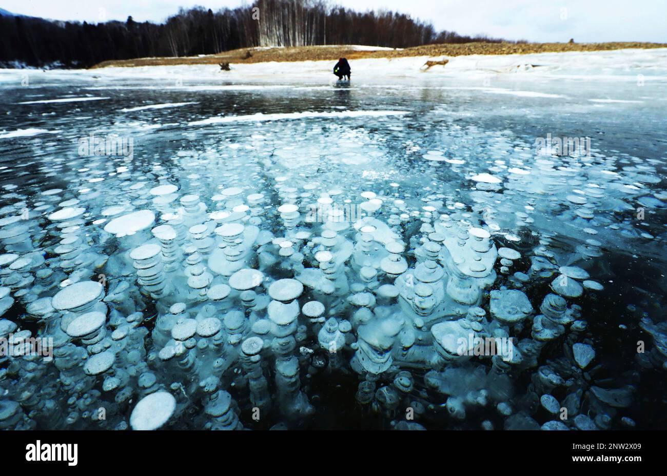 Ice bubbles are seen at Lake Nukabira in Kamishihoro Town, Hokkaido Prefecture on January 15 ...