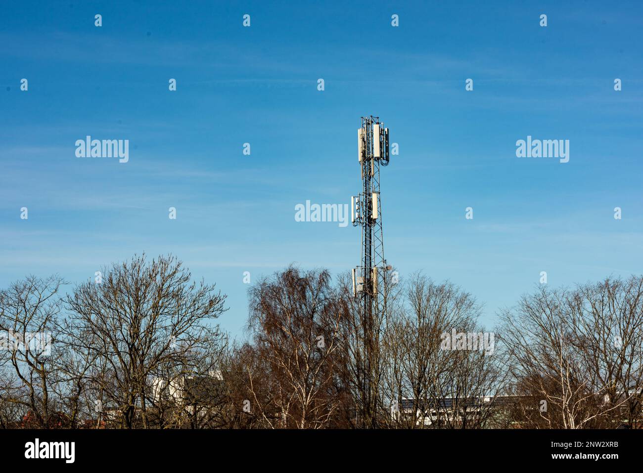 Mobile communications tower in a park Stock Photo - Alamy
