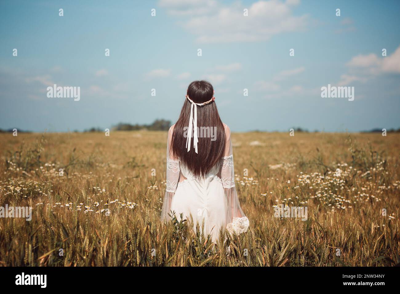 Lone maiden in a summer wheat field Stock Photo - Alamy