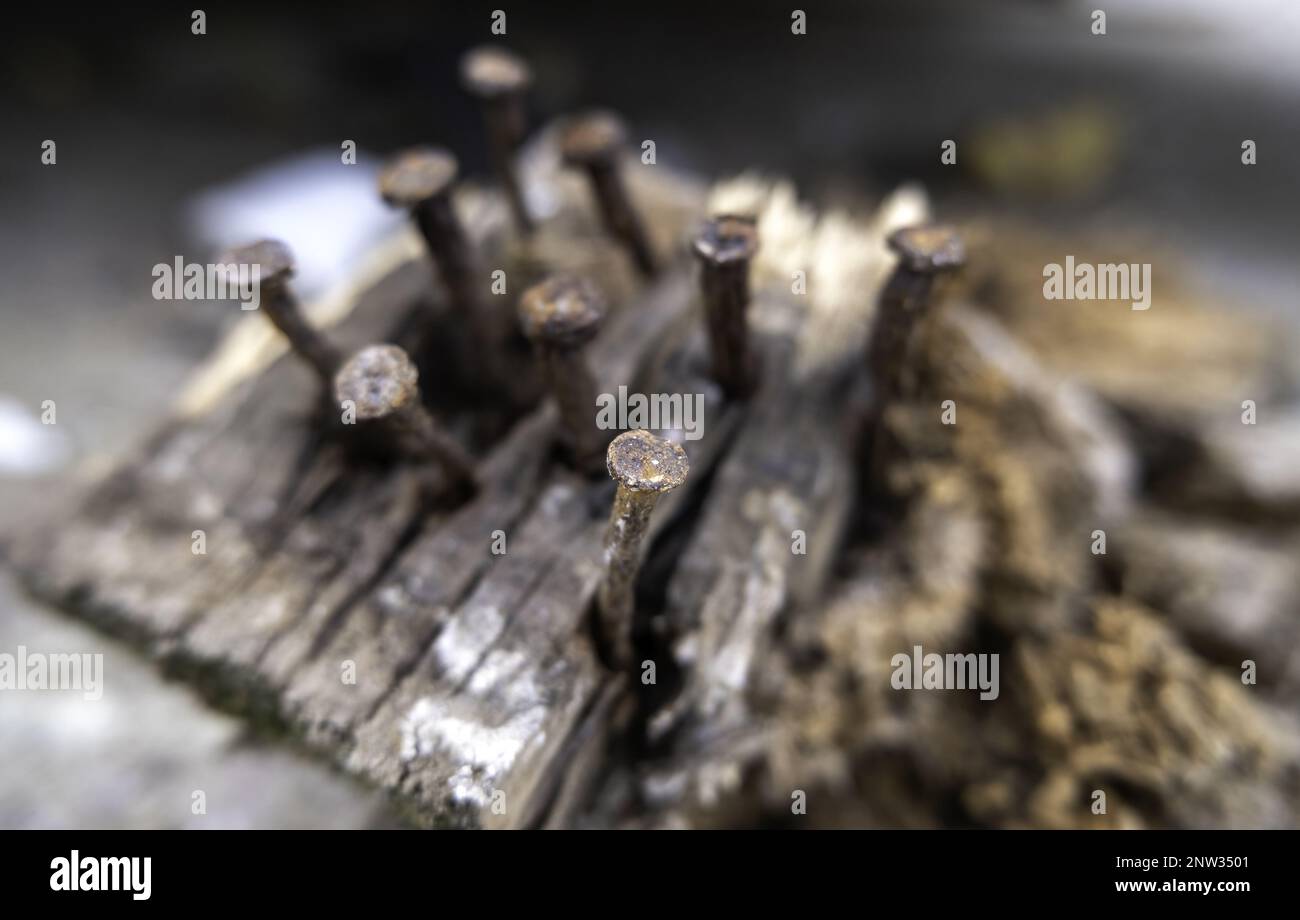 Detail of old rusty nails in an old and broken wood Stock Photo - Alamy