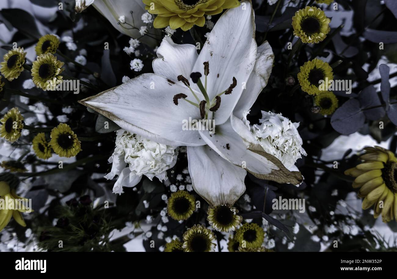 Detail of old and dry flowers in a grave, memory and loss, homage Stock ...