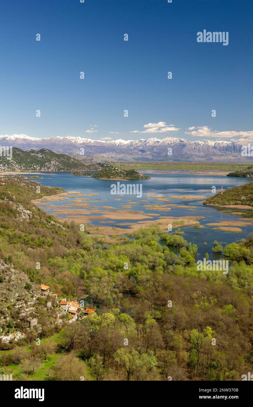 Postcard-pretty Lake Skadar lies on the border of Albania and Montenegro, and is the largest ...