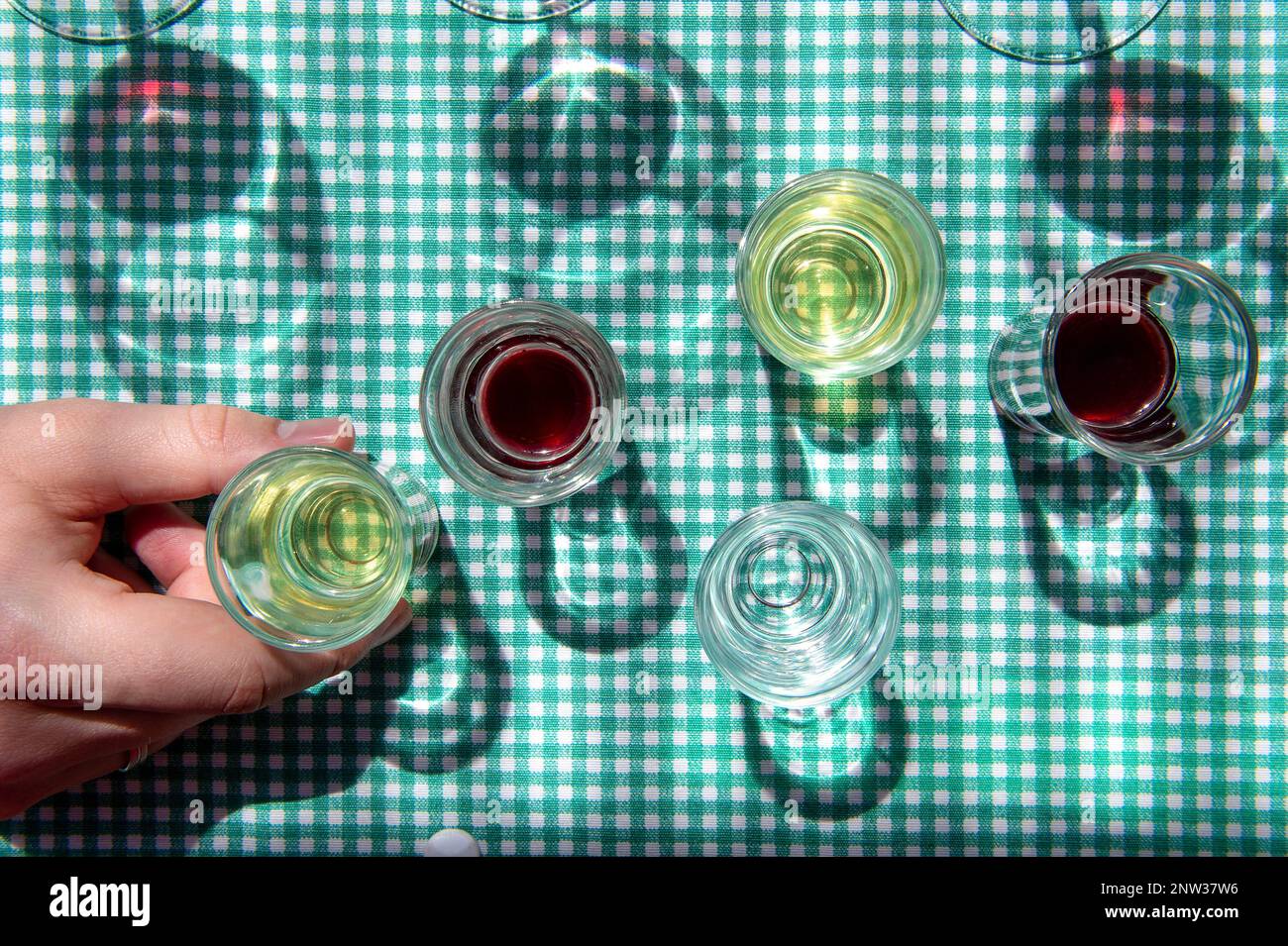 A selection of liqueurs, Garnet Traditional Winery, Godinje, Montenegro ...