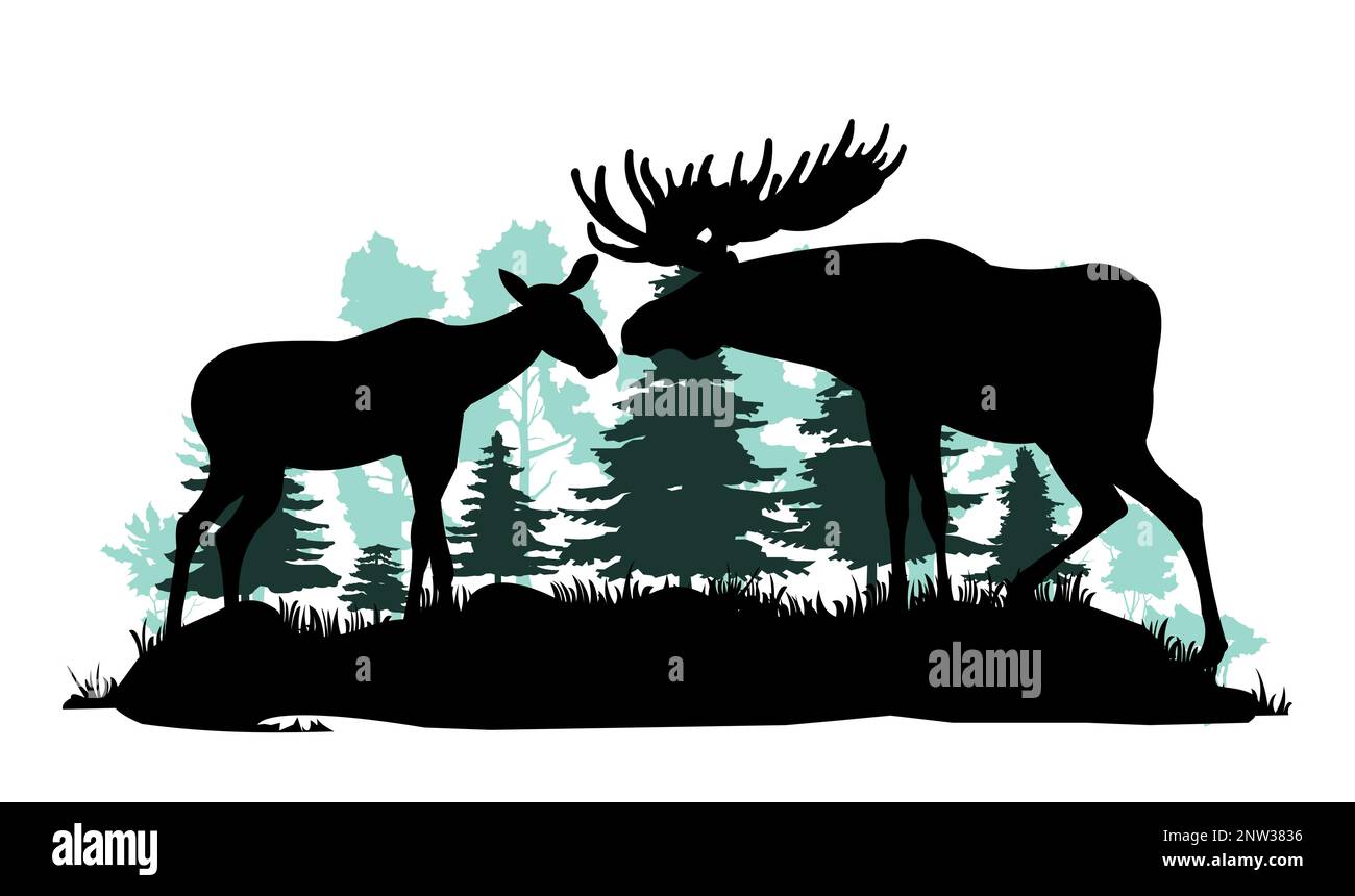 Elk in the taiga Cut Out Stock Images & Pictures - Alamy
