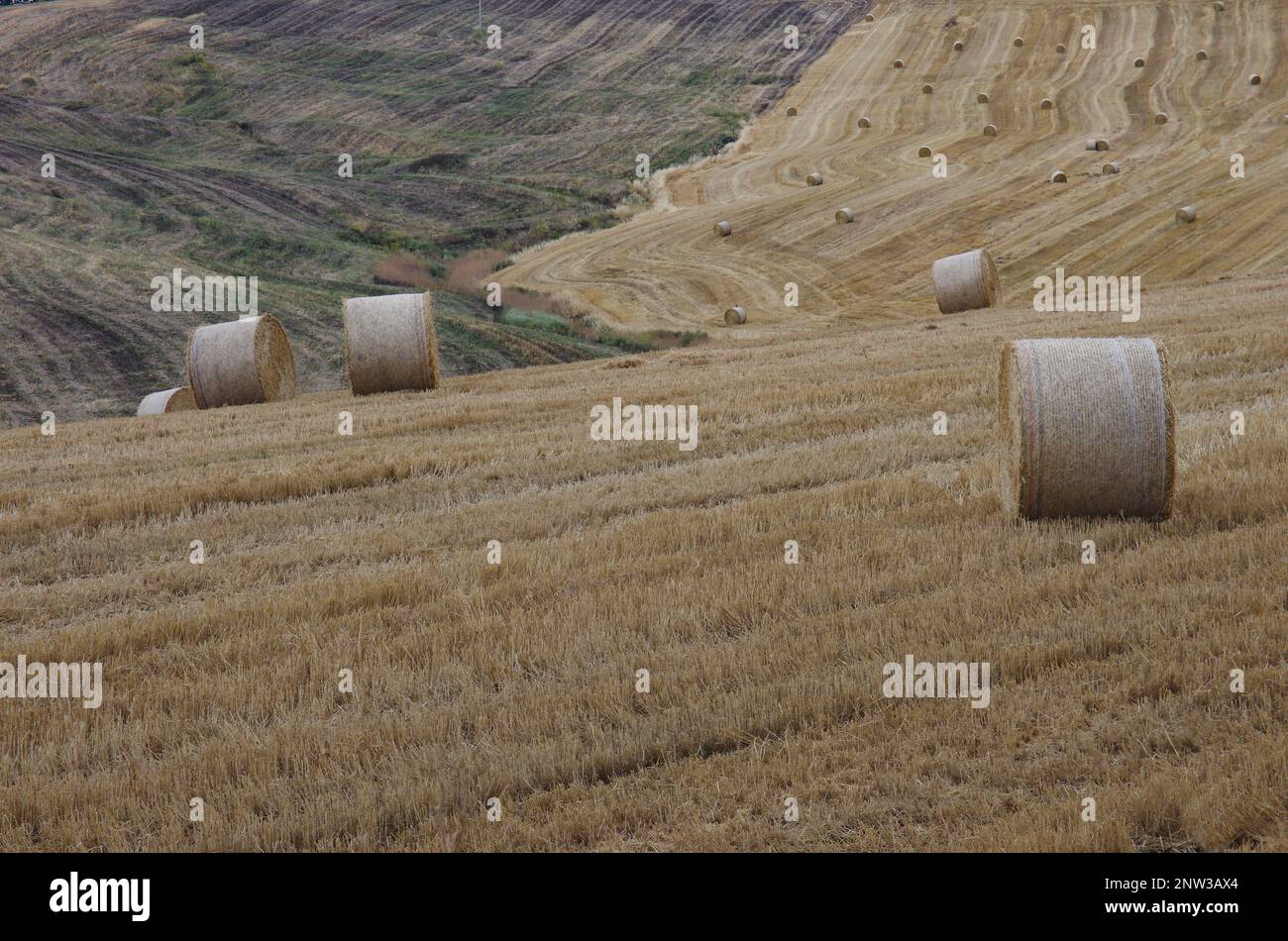 Glimpse of the Molise countryside after the wheat threshing and the hay ...