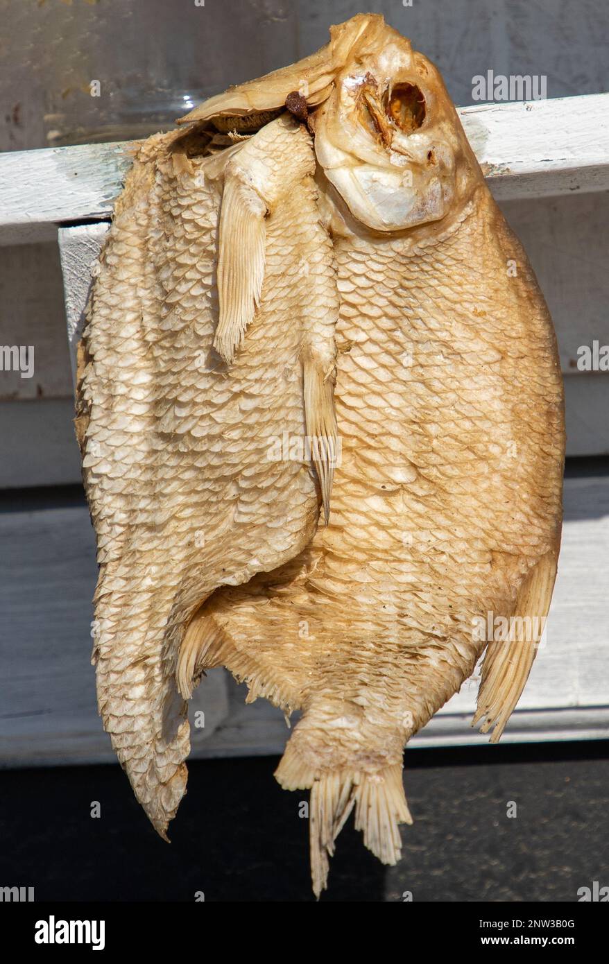 A close-up with hanging dried fish, traditional, rur Stock Photo - Alamy