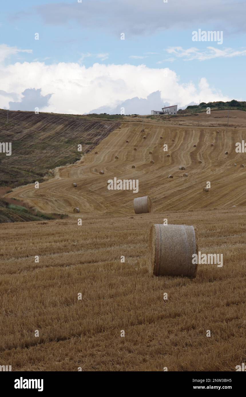 Glimpse of the Molise countryside after the wheat threshing and the hay ...