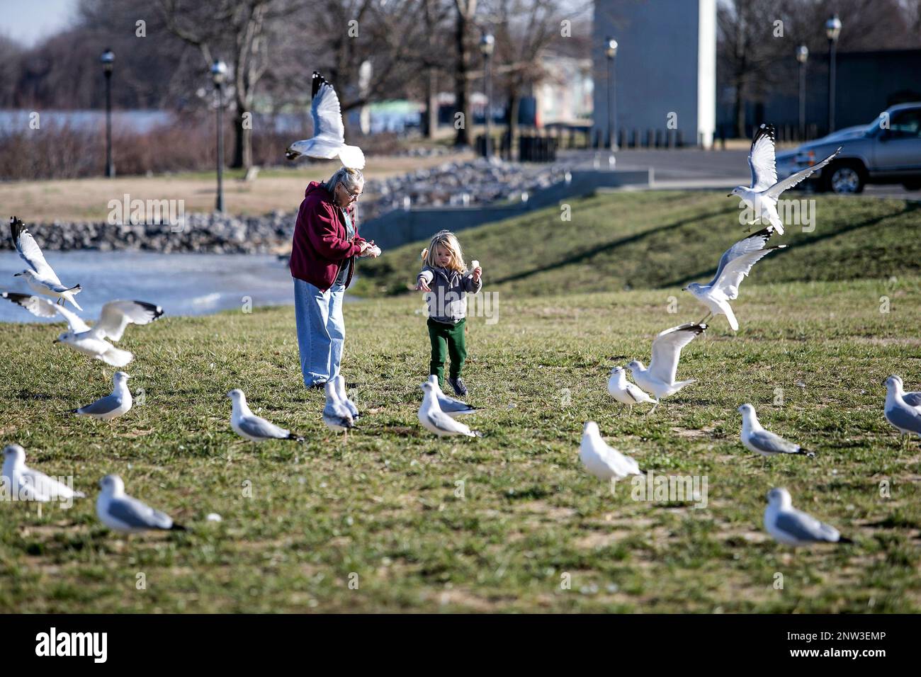 Billie Stone, left, and her grandson Nathan Parrott, 4, feed the birds ...