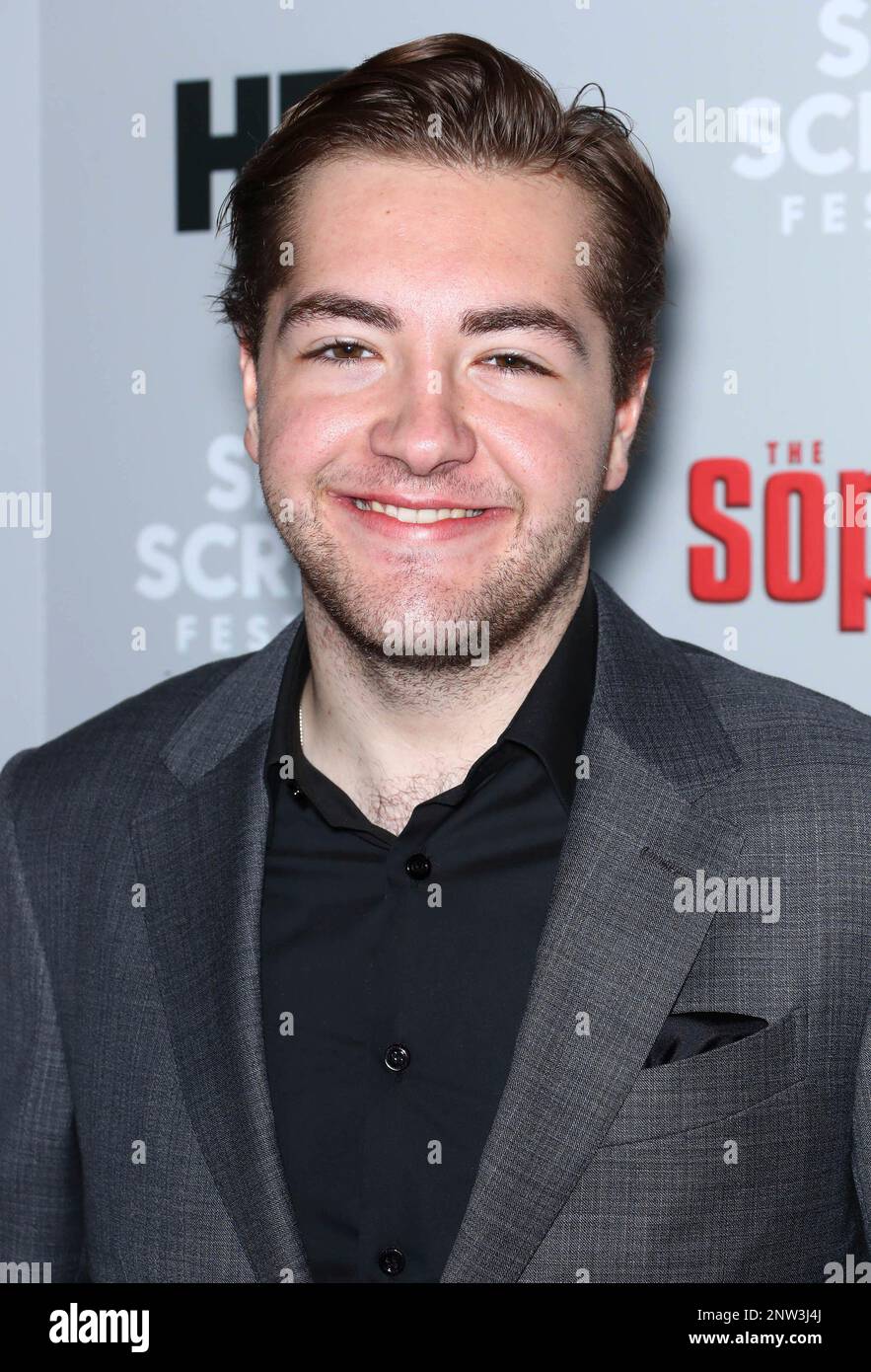 Photo by: John Nacion/STAR MAX/IPx 2019 1/9/19 Michael Gandolfini at ...