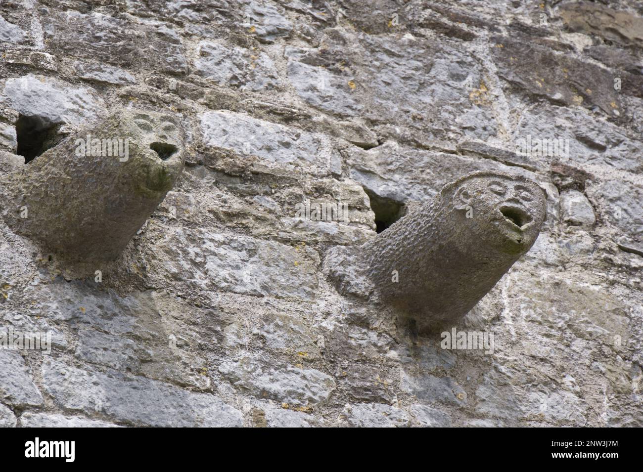 decorative detail of Ardfert Cathedral County Kerry EIRE Ireland Stock ...