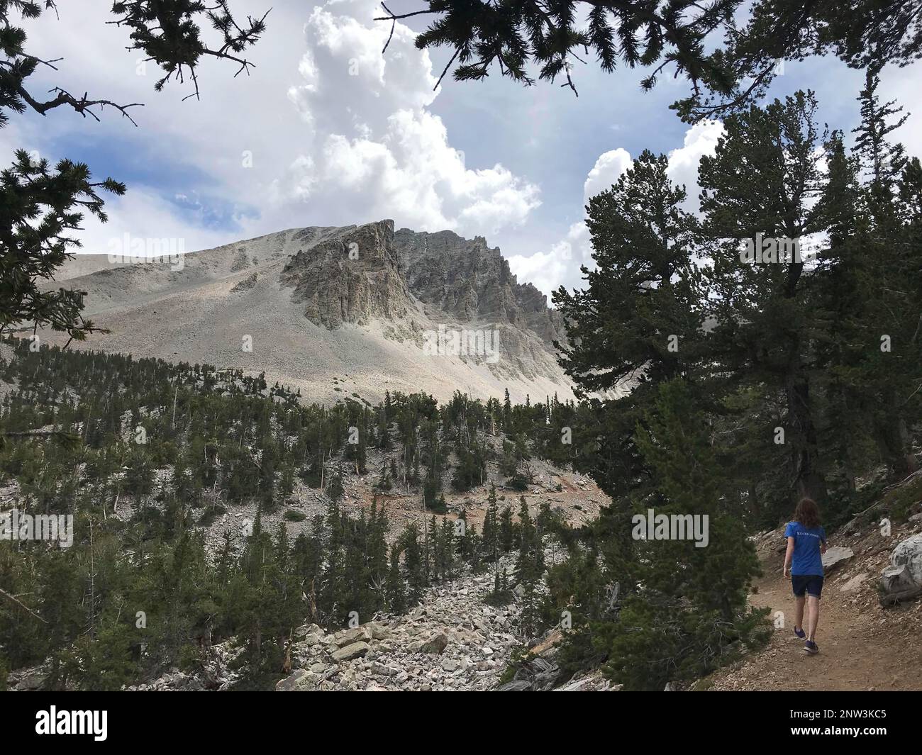 In this undated photo, a hiker walks toward Jeff Davis Peak at Great ...